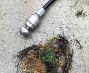 How To Get Rid Of Tree Roots In Sewer Line